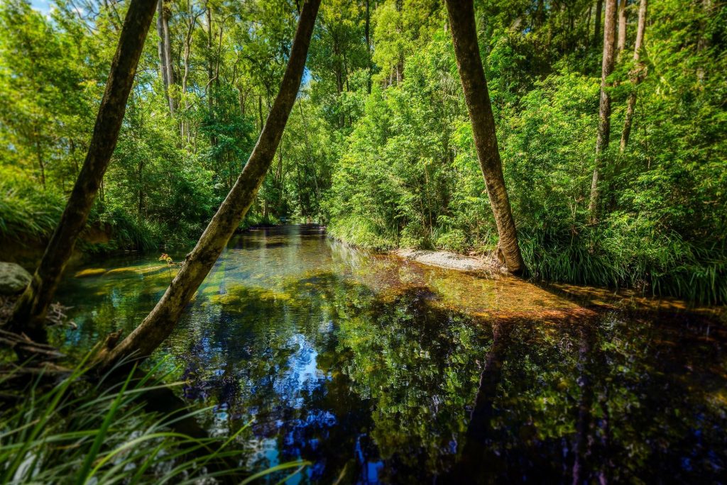 The Beautiful Never Never River - Hermitage Estate