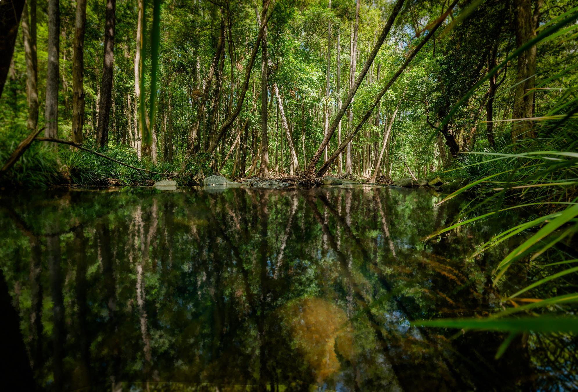 The Promised Land, Gleniffer - Hermitage Estate