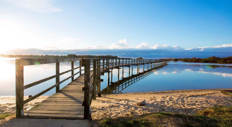 Coffs Harbour - Hermitage Estate