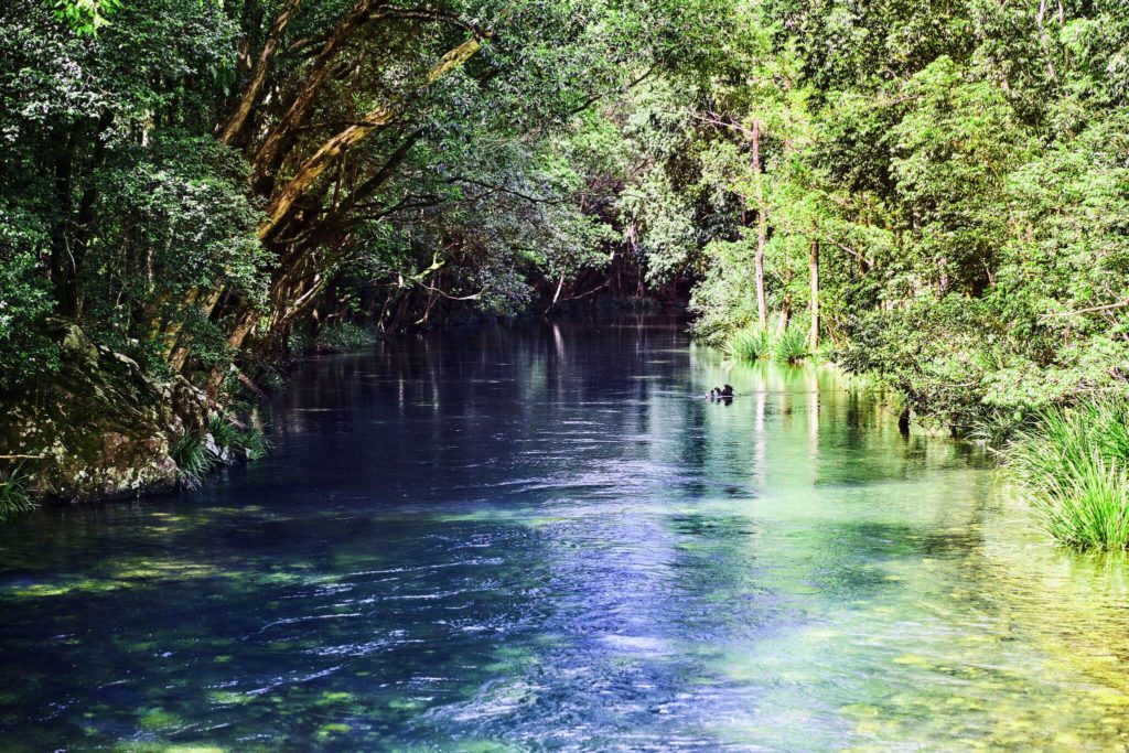 The Beautiful Never Never River - Hermitage Estate