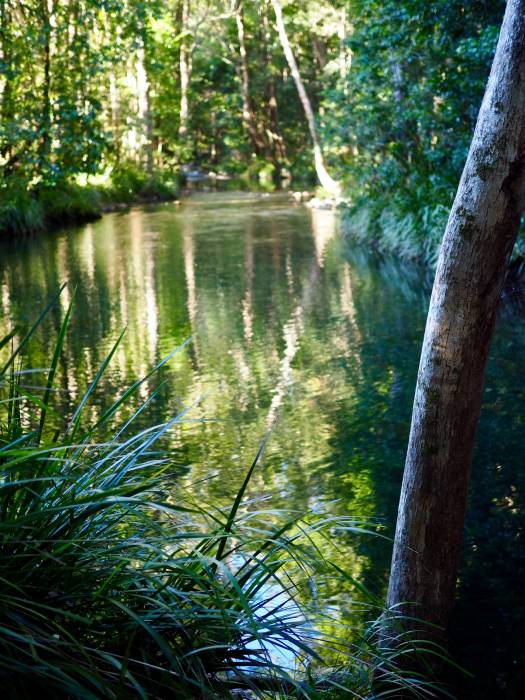 Never Never River at Hermitage Estate